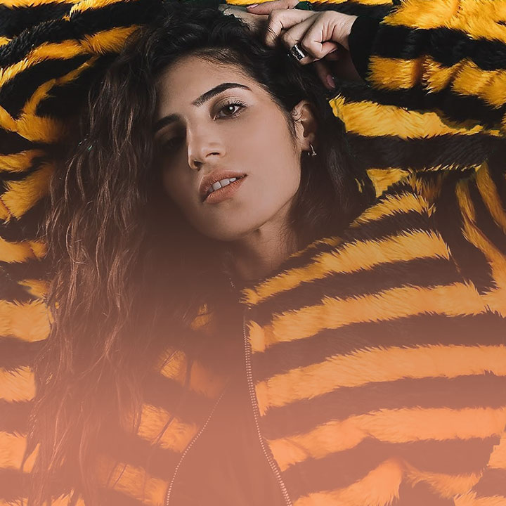 Official Website of Abir